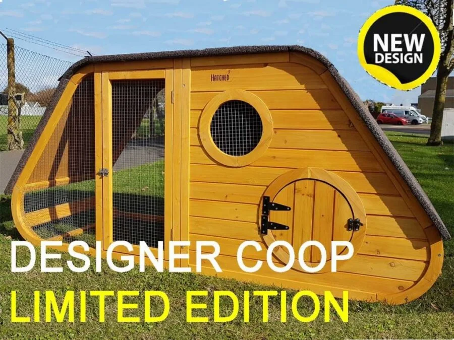 Glamping Pod Chicken Coop - Coops & Hutches UK