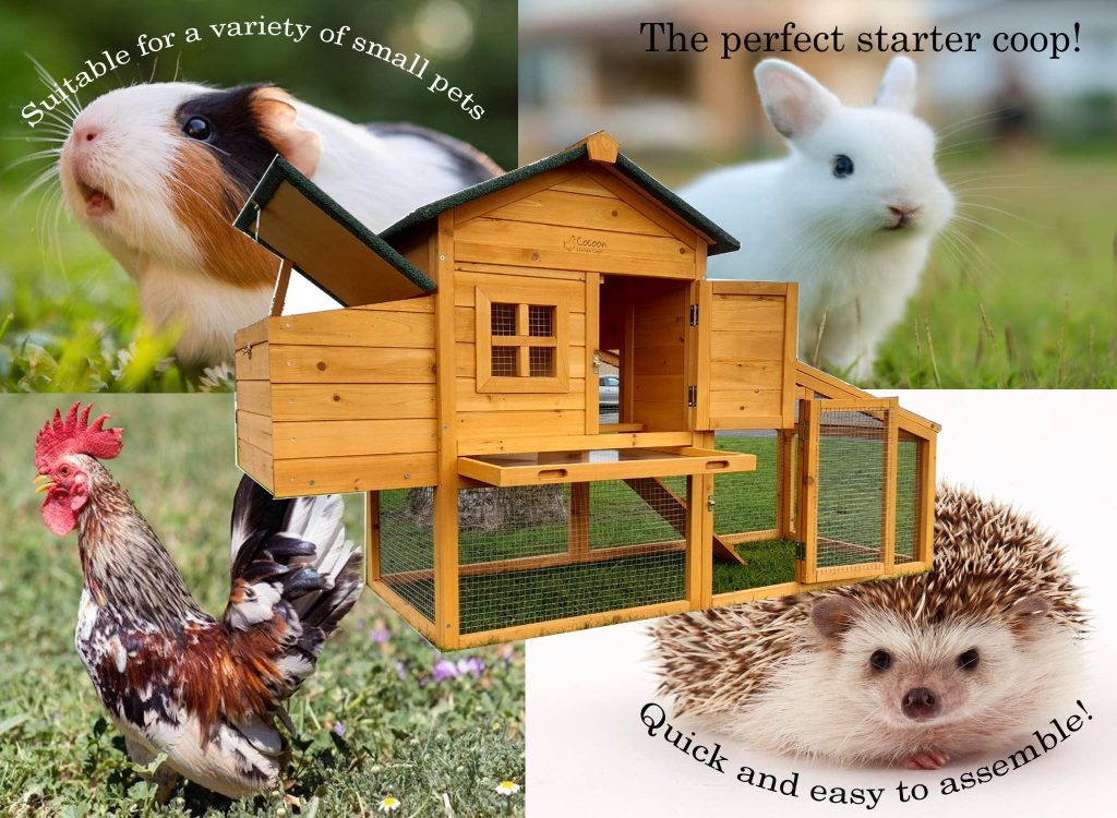 Starter Kit Combo – Coop – Feeder – Drinker + Red Mite Powder! - Coops ...