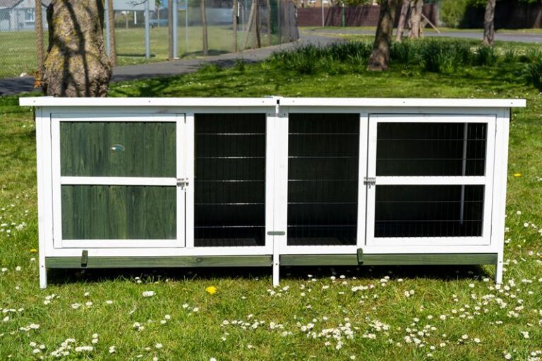 THUMPER XL Green Rabbit Hutch (Ex-display) - Coops & Hutches UK